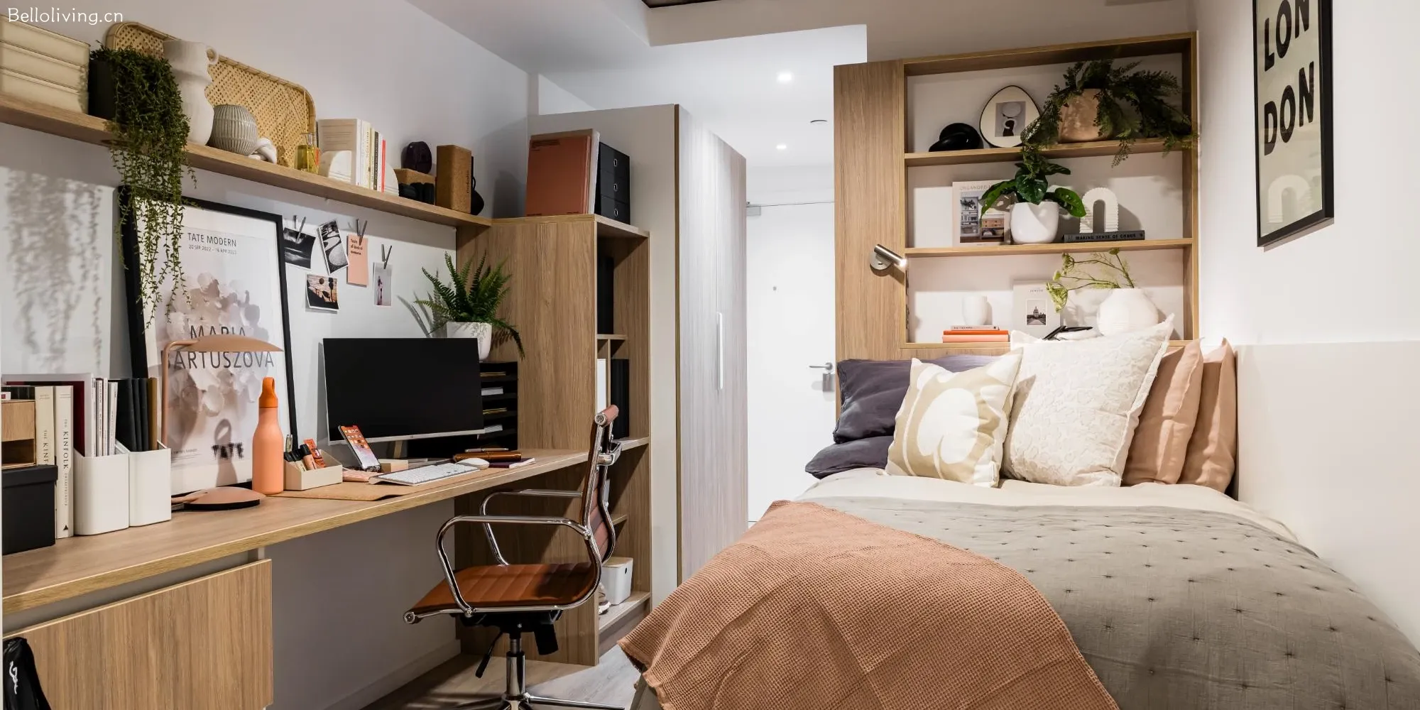 Canvas Wembley Arthur House - 伦敦 | 八楼校舍 - BelloLiving.cn