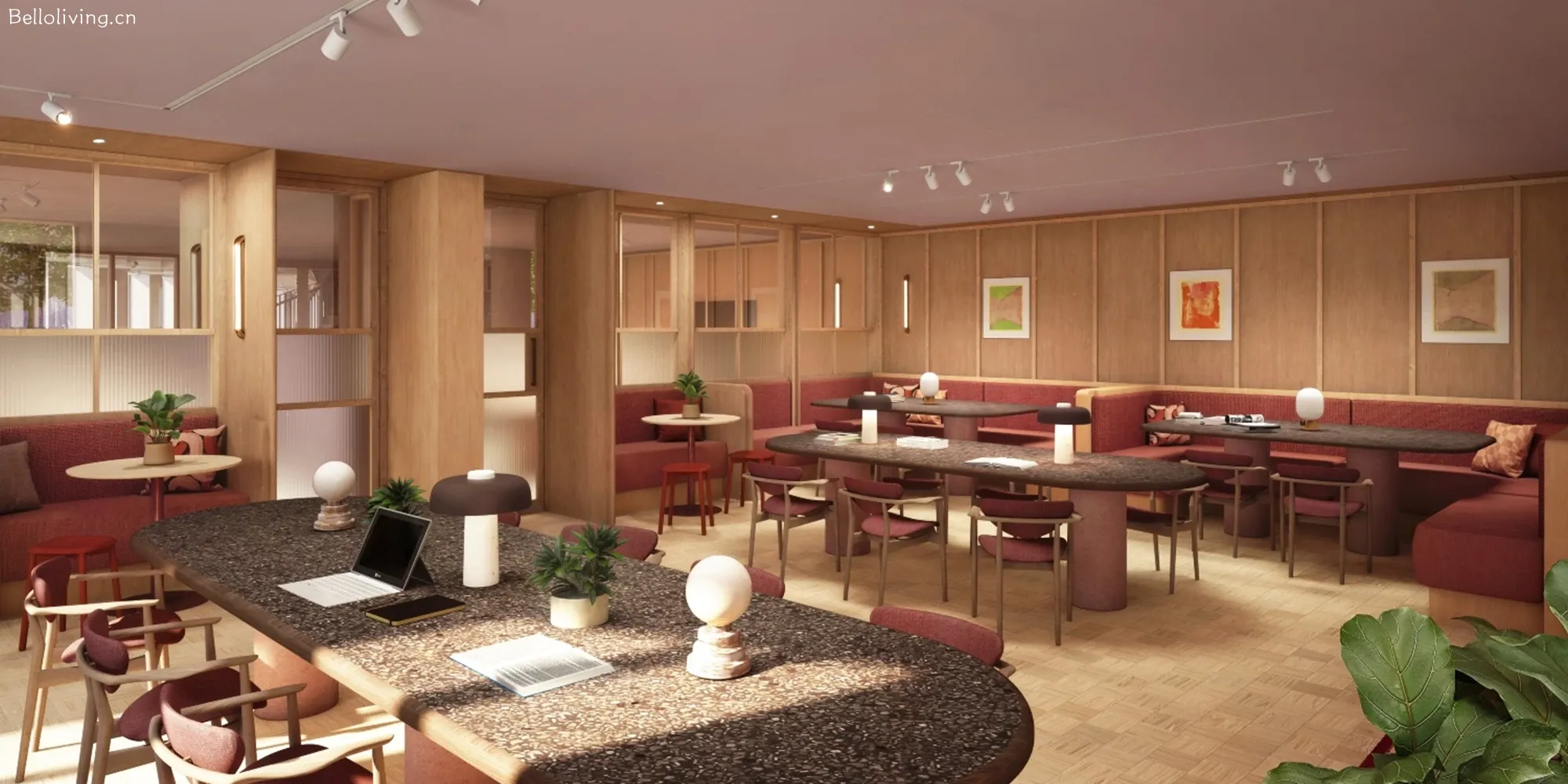 Canvas Wembley Arthur House - 伦敦 | 八楼校舍 - BelloLiving.cn