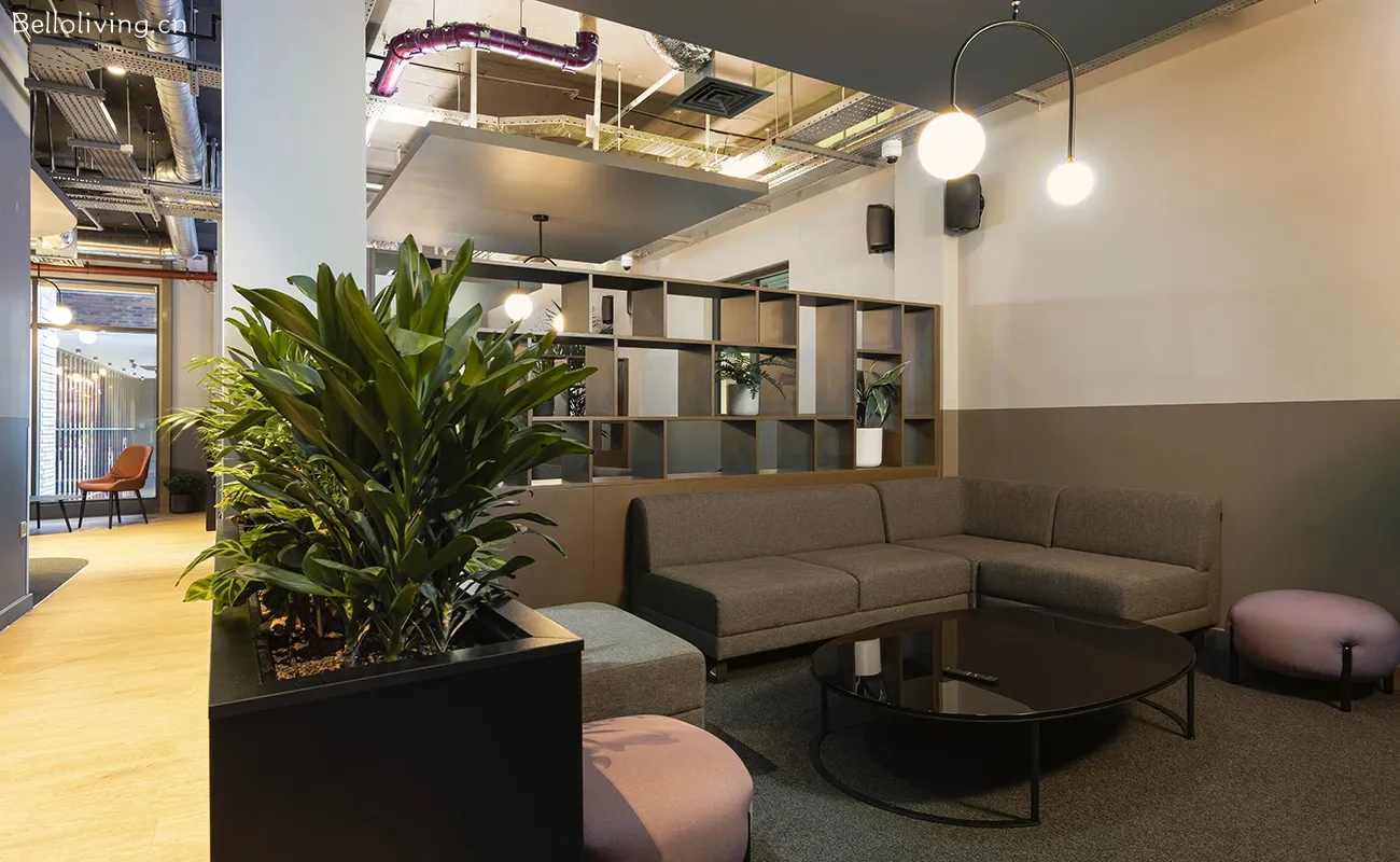 Hayloft Point - 伦敦 | 八楼校舍 - BelloLiving.cn