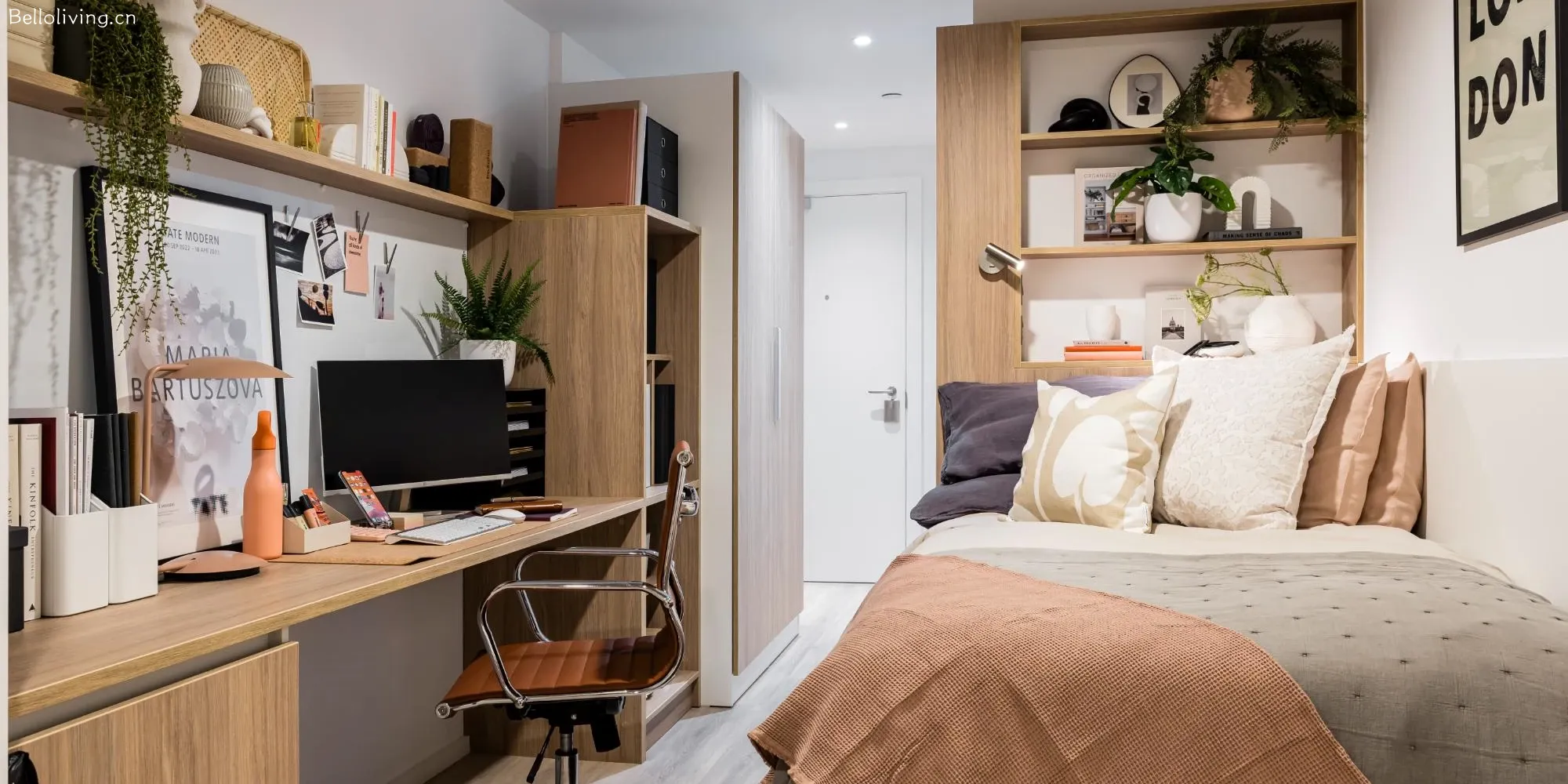 Canvas Wembley Arthur House - 伦敦 | 八楼校舍 - BelloLiving.cn