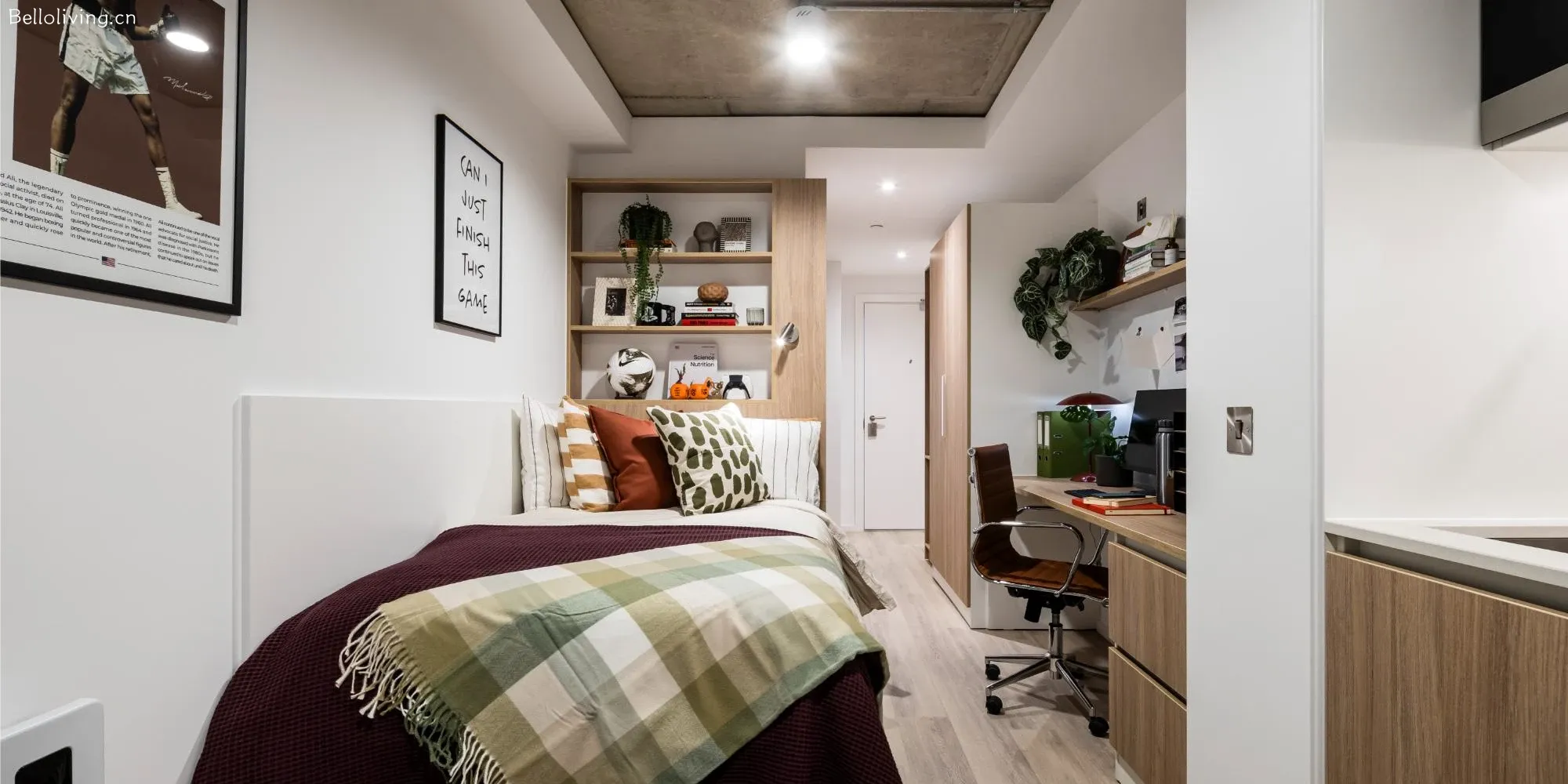 Canvas Wembley Arthur House - 伦敦 | 八楼校舍 - BelloLiving.cn