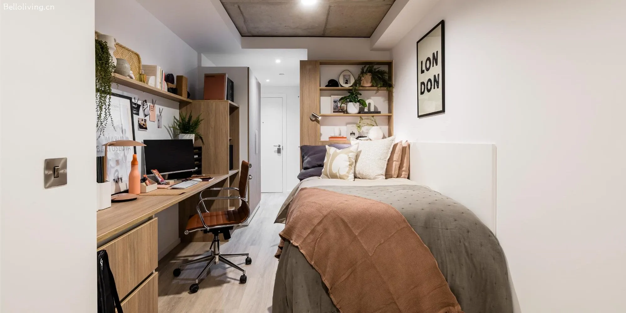 Canvas Wembley Arthur House - 伦敦 | 八楼校舍 - BelloLiving.cn